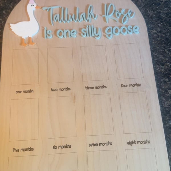 Personalized One Silly Goose 1st Birthday Photo Board - Multiple Sizes ...