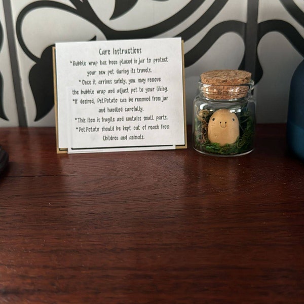 Adopt a Mini Rock Desk Pet - Etsy