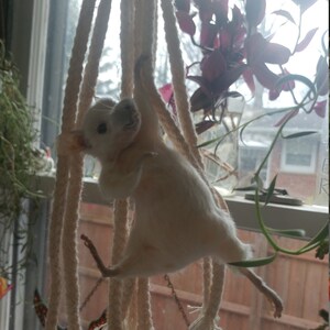 Hanging Mouse | Etsy