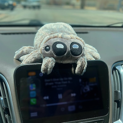 Spider Plushie, Spider Stuffed Animal - Etsy