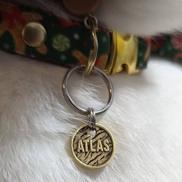 Cat Tag, Custom Cat Tag, Kitten Tag, Personalized Mini Pet ID Tag ...