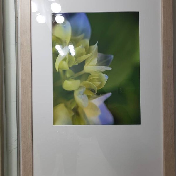 Retrospective- Photography, Digitally Altered Photography, Portrait ...