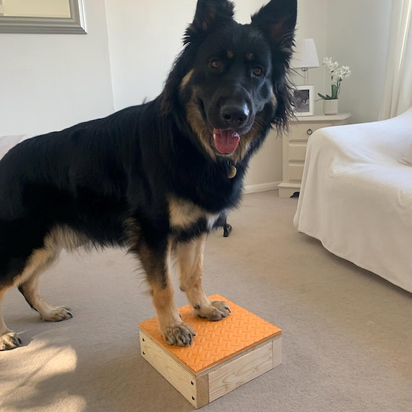 Dog Training Pivot Box and Place Board 2 Piece Bundle for Dog Agility ...