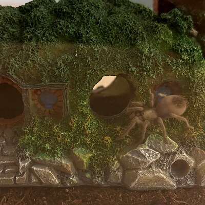 Navo Black Monster Hideout - Etsy