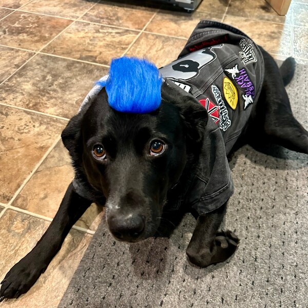 Dog Mohawk Size Large - Etsy