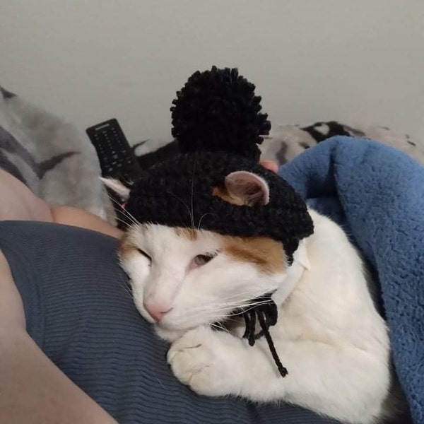 Easy Crochet Adult Cat Hat Beanie Pattern 336 DIGITAL DOWNLOAD ONLY - Etsy