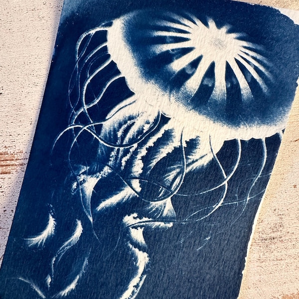 Cyanotype Stencils, Cyanotype Bookmarks, Cyanotype Kit Just Stencils ...