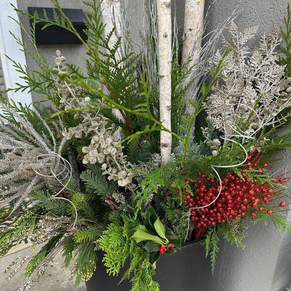 Dried Pepper Grass, Lepidium, Dried Grass, Grass Bunch, Green Grains ...