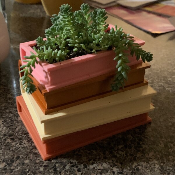 Multicolor Stack of Books Succulent Plant Pot | Succulent Gift | 3D ...