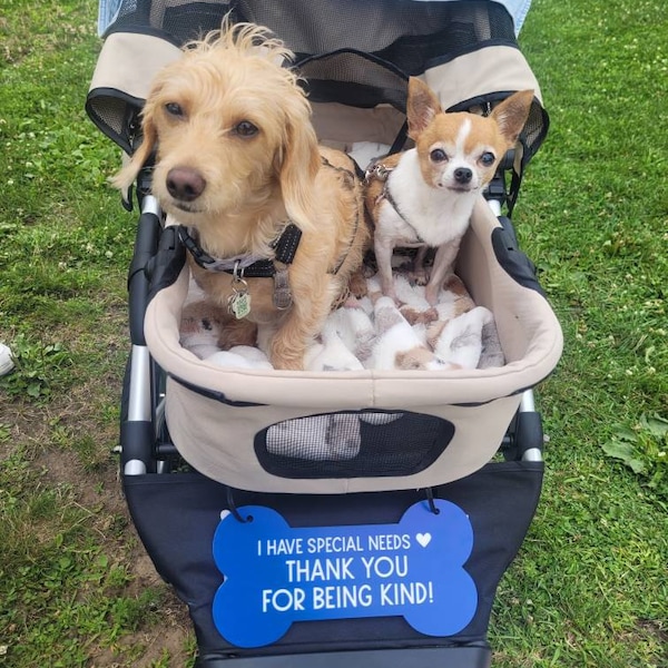 Henry's "be Kind" Sign for Special Needs Dogs - Etsy