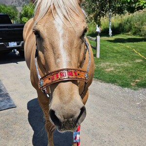 Bit Hobble, Curb Strap, Chinstrap, Horse Tack, Paracord Horse Tack ...