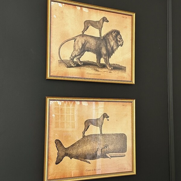 Rhodesian Ridgeback Dog Riding Whale Vintage Collage Print Tea Stained ...