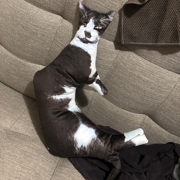 Hot Ugly Cat/dog Zany Pillow | Custom Pet 3D Shape Pillow ...