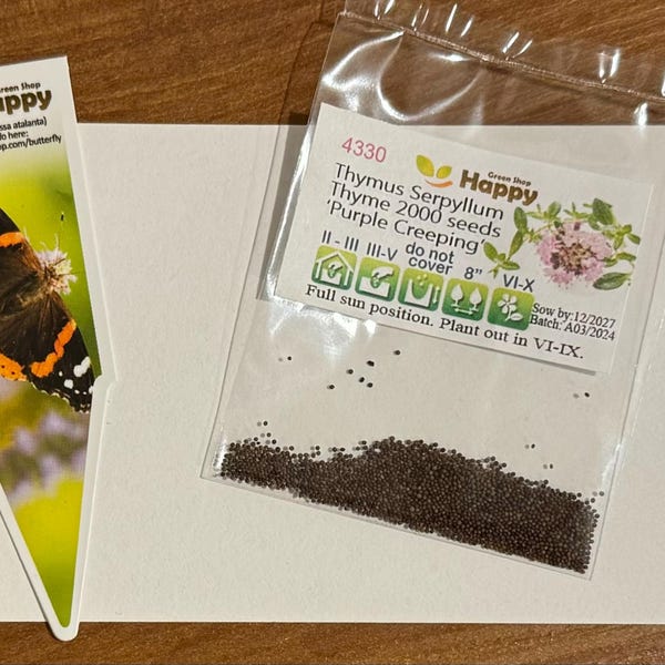 Trailing Thyme - PURPLE CREEPING - 2000 SEEDS - Thymus Serpyllum ...