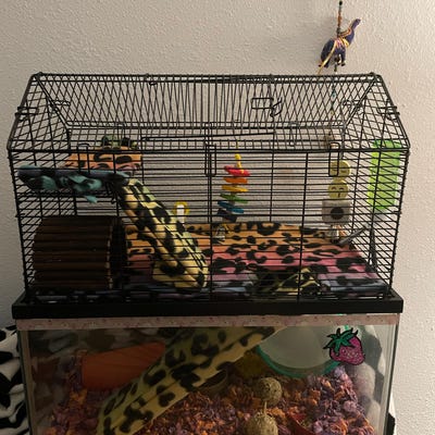 Small Animal Cage Ramp Cover Tent, Critter & Ferret Nation, Feisty ...