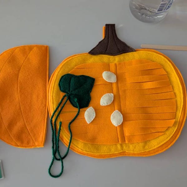 Parts of a Pumpkin Felt Puzzle, Squash Fruit Life Cycle, Montessori ...