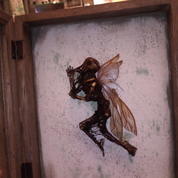 Dead Fairy Display Case - Etsy