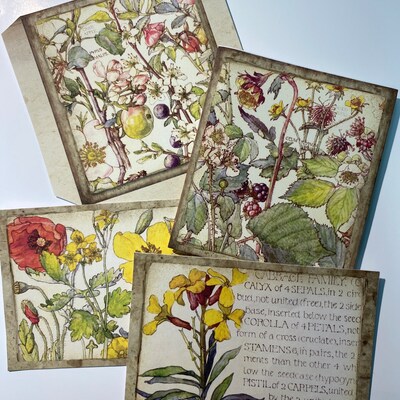 MORE Rather Random Mix Labels Digital Kit. DIGI21 28 - Etsy