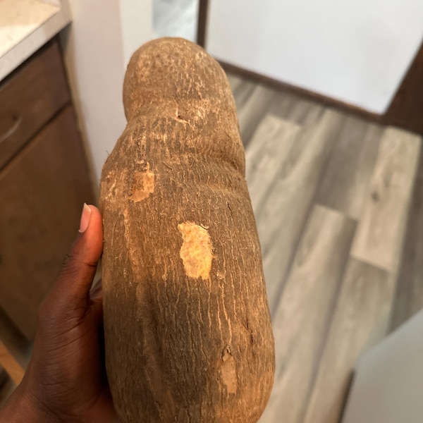 Bonga Fish/debone Bonga Fish/agbodo/shawa 5oz. - Etsy