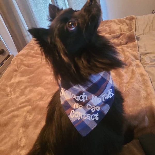 Sash Personalize Band, Custom Sash, Graduation Sash, Bachelorette Sash ...