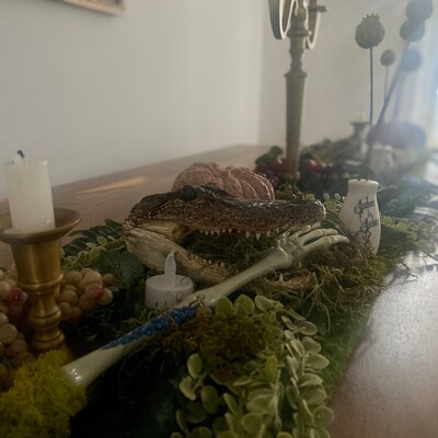ALLIGATOR BONE DUST Voodoo Hoodoo Wicca Gothic Oddity - Etsy