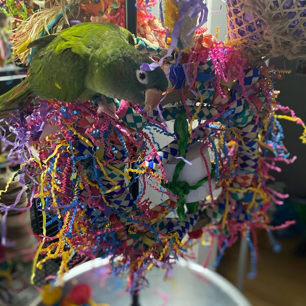 LARGE Parrot TOY ** FIRECRACKER ** Perfect for Pluckers and Foragers - Etsy