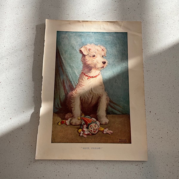 1950s Vintage Willy Schermele Print: Purry and Furry Nursery Wall Art ...