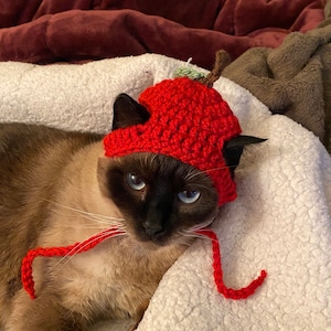Apple Hat for Cats - Etsy
