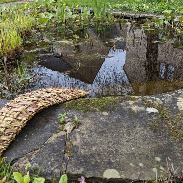 Hedgehog Pond Ramp, Hedgehog Conservation, Pond Decorations, Gardener ...