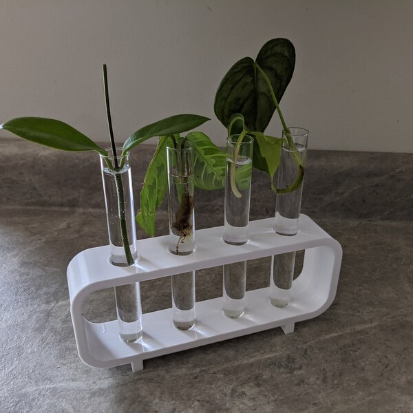 Test Tube Propagation Station - Etsy