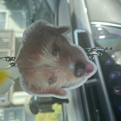 Funny Air Freshener Flaming Eye Freshener Cute Air - Etsy
