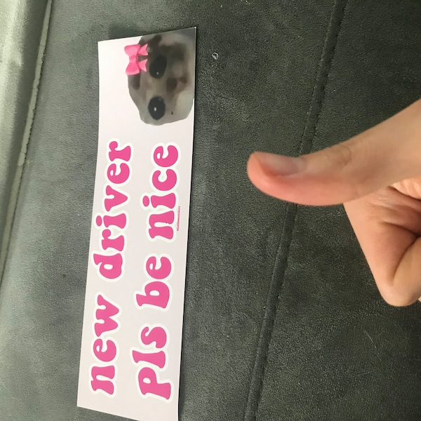New Driver Pls Be Nice | Bumper Sticker AND Magnet | Funny Meme Sticker ...