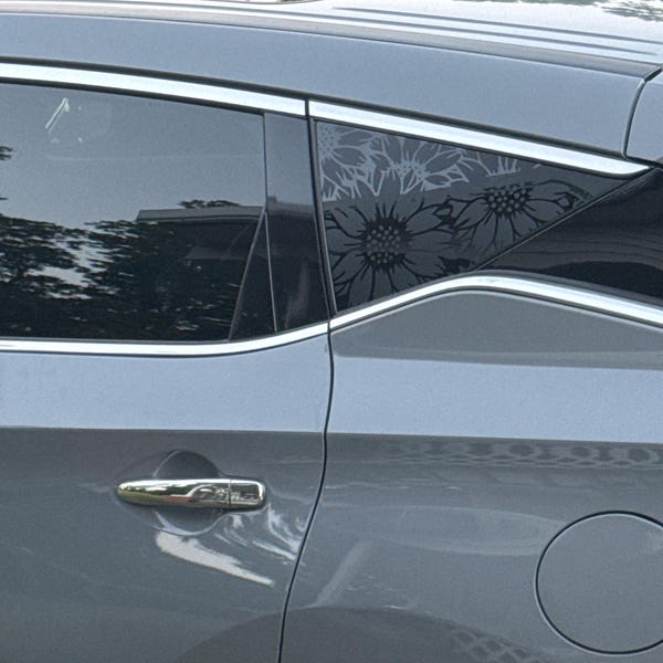 Dragon Scales Decal, Rear Quarter Window Decal Set of 2, Snake Skin ...