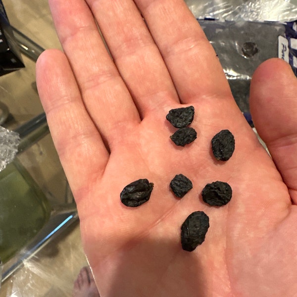 Organic Dagad Phool, Indian Dagad Flower, Natural Stone Flower, Whole ...