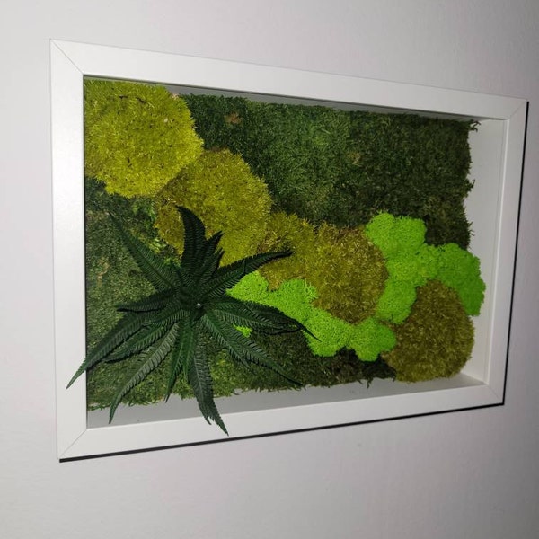 Wooden Frame Moss Picture, Moss Art, Home Decoration - Etsy