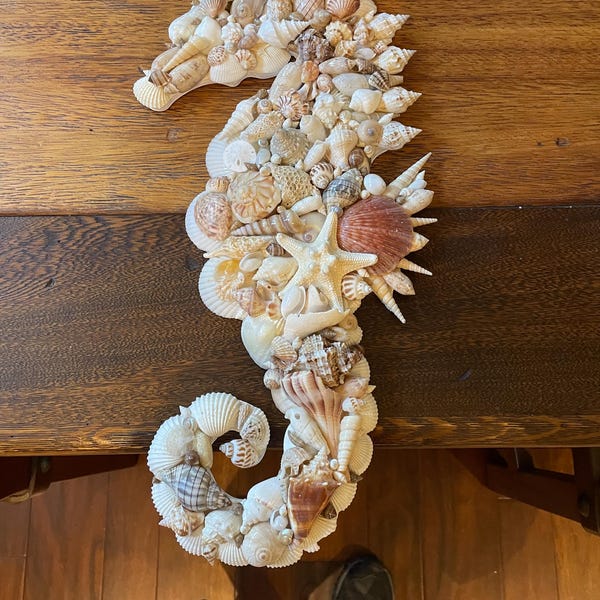 Seashell Seahorse Wall Art, 18" X 9" Coastal Wall Hanging, Seahorse ...