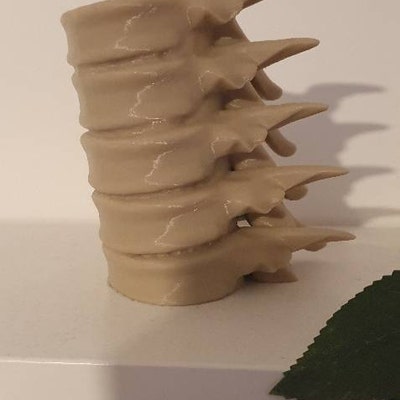 Small Bat Succulent Planter Gothic Home Garden Decor 3D Printed - Etsy