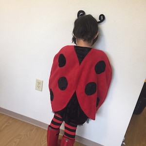 Ladybug Costume, Toddler Girl Halloween Costume, Ladybird Red Cape ...