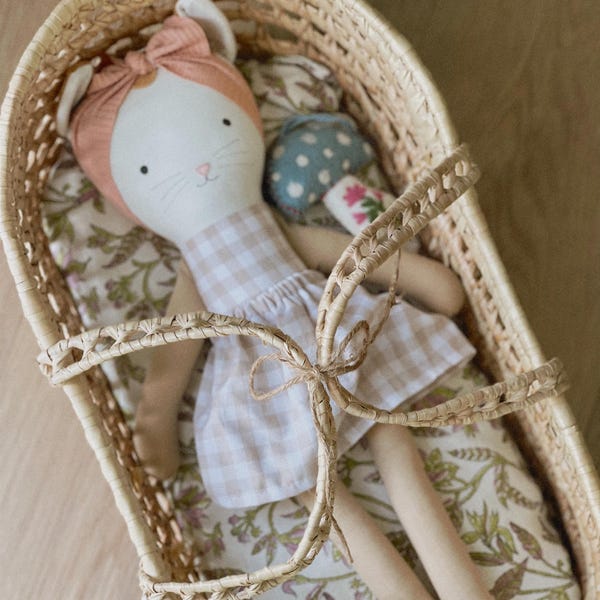 Custom Animal Doll Lovey Design Your Own Animal Cat Dog Mouse Rabbit ...