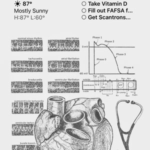 Cardiology/heart Anatomy iPhone Wallpaper & Background (ORANGE/BEIGE ...