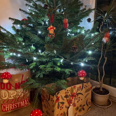 Cosy Frog in a Sweater Cottagecore Wildlife Reptiles Wooden Pin Gift ...