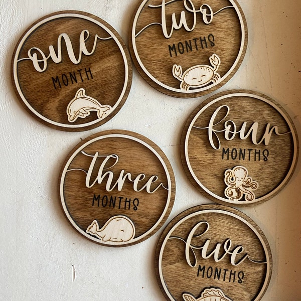 Baby Monthly Milestone Markers With Farm Animal Theme, Unique Wooden ...