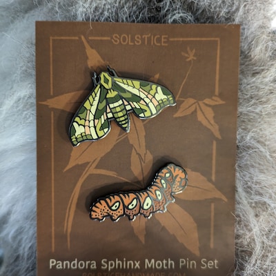 Common Buckeye Butterfly Pin Set - Etsy
