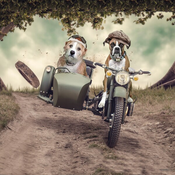 Runaway Sidecar Digital Background / Valentines Backgrounds & Overlays ...