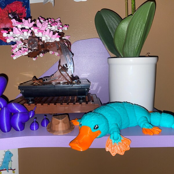 Decorative Wall Shelf, Abstract Shapes, Colorful and Wavy Plant Shelves ...