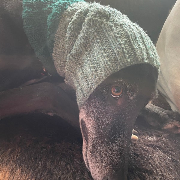 Greyhound Snood 2-TONE Med-lrg Dog Winter. Galgo, Whippet. Made to ...