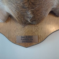 Engraved 2x2 RING BELL Red Wall Plate Adhesive Backed Plaque - Etsy