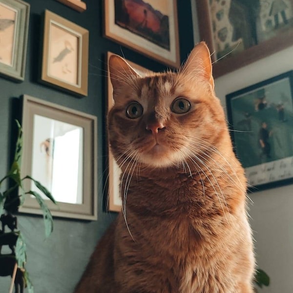 Future Islands Posters - Sam Herring - Dancing - Square Prints - Music ...