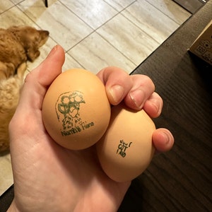 Egg Carton Stickers Funny Chicken Face Fresh Eggs Egg Carton Sticker ...