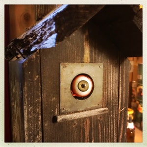 Halloween Horror Prop EYEBALL POPPERS for Skulls Skeletons or - Etsy